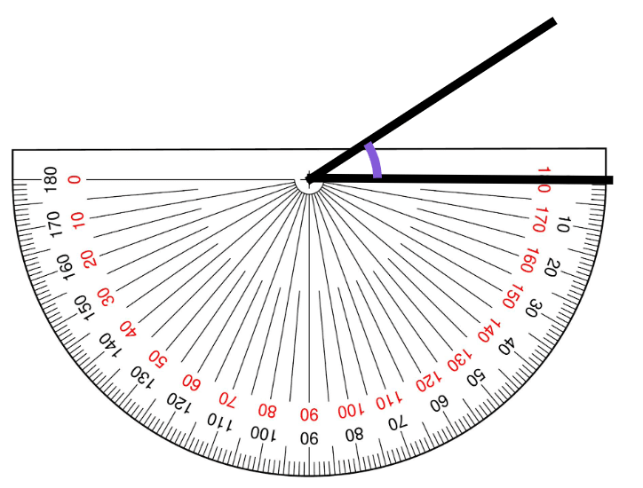 Measure the size of angles accurately using a protractor | Oak National Academy
